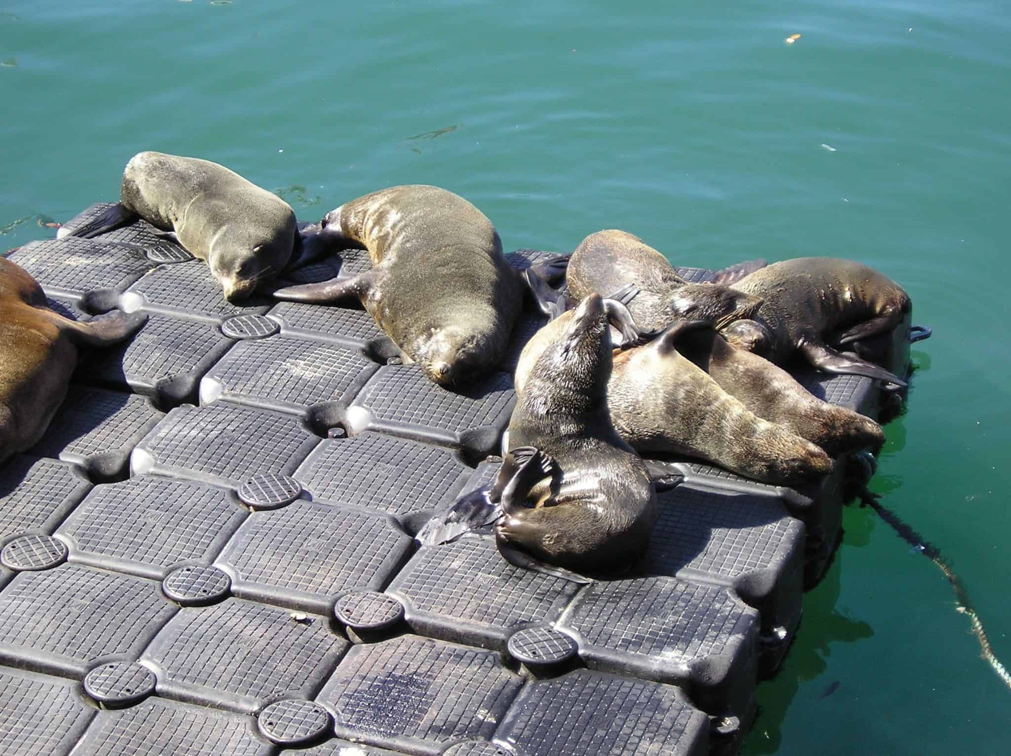 Jetfloat International